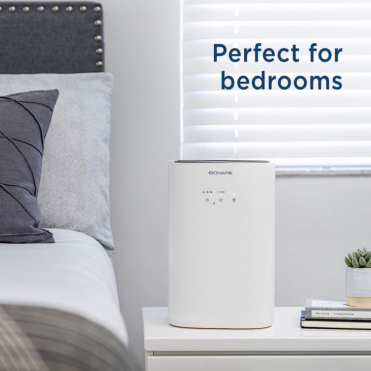 Sunbeam Air Purifier with HEPA filter - Wayfair Canada