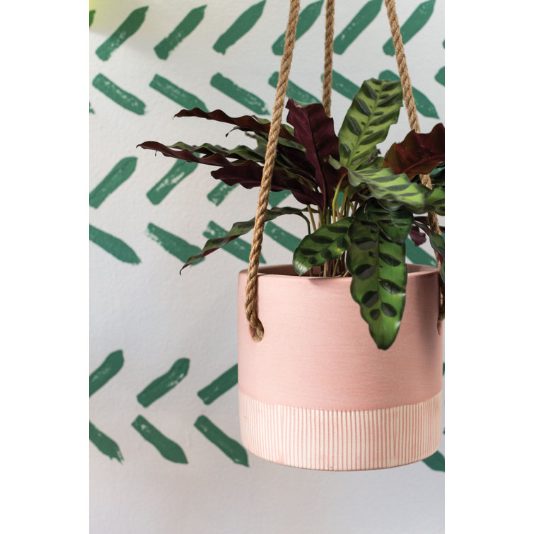 Breakwater Bay Ruybal Ceramic Indoor Hanging Planter - Wayfair Canada