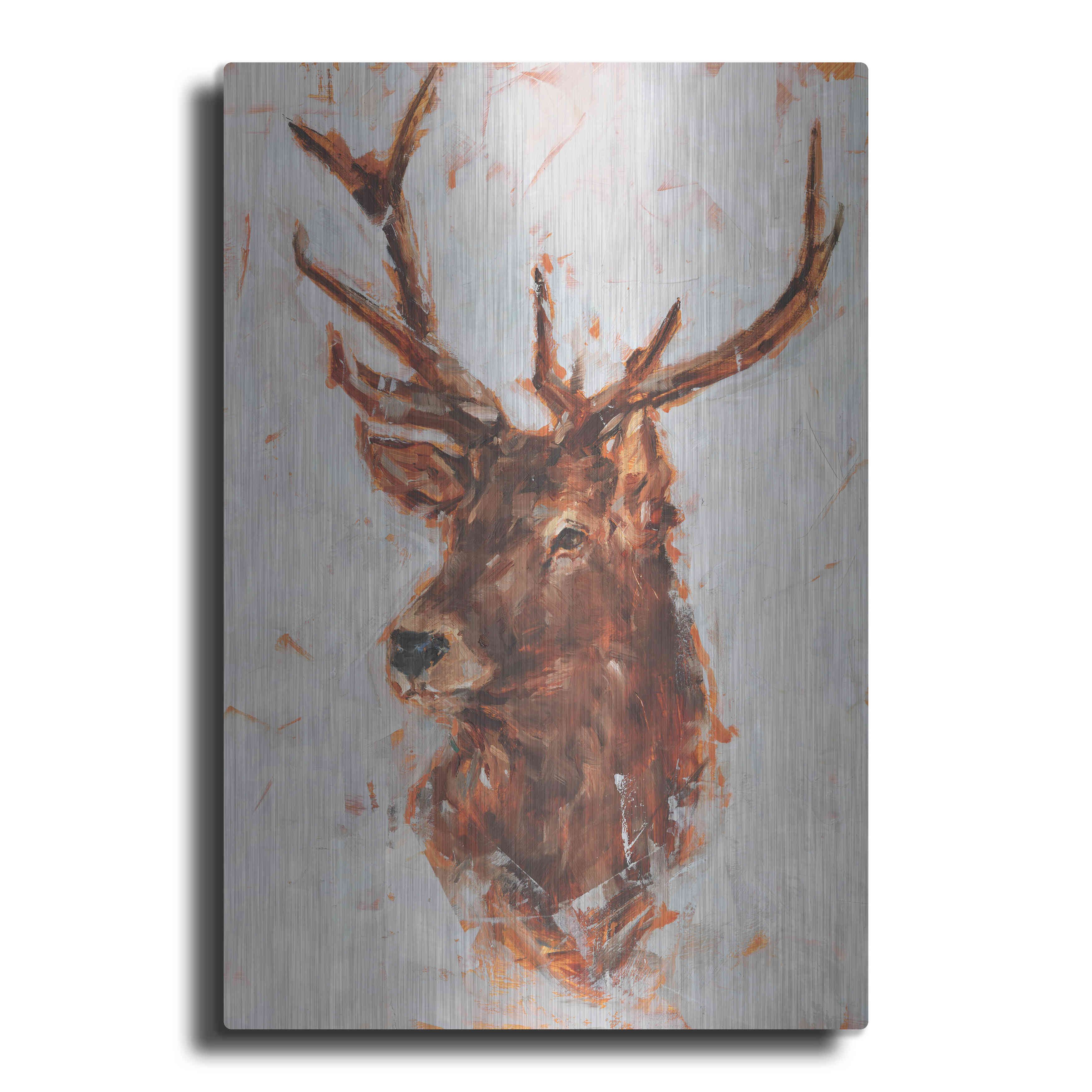 Loon Peak® Stag Study I by Ethan Harper - Unframed Print on Metal | Wayfair