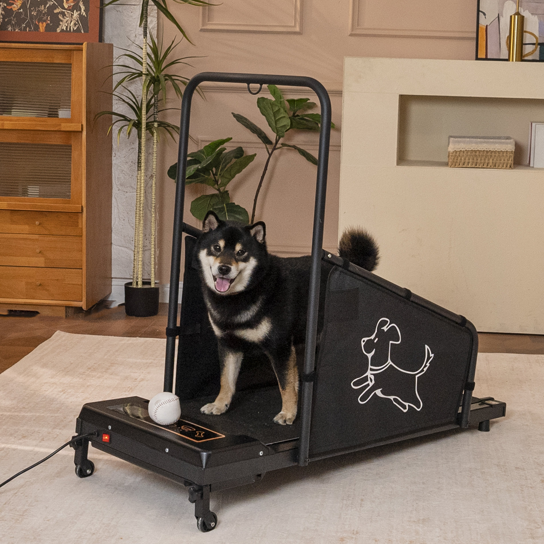 AONYAYBM Dog Treadmill For Medium Dogs, Dog Treadmill Run Walk | Wayfair