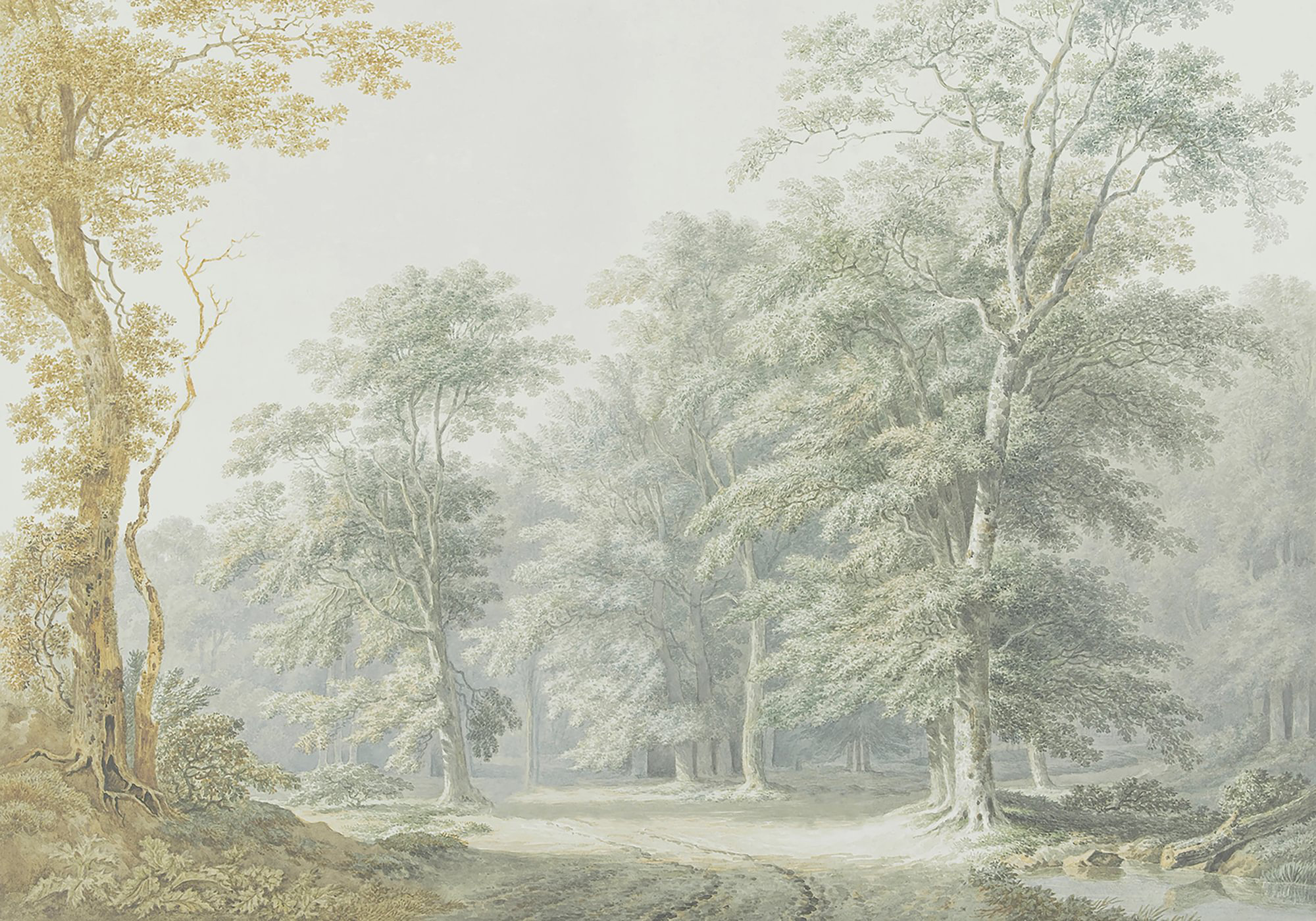 Art for the Home Superfresco Easy Stately Woodland Print To Order Mural ...