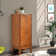 Winston Porter Karmisha Dresser & Reviews | Wayfair