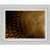 Bright Star Compact Patterns - Single Picture Frame Print | Wayfair.co.uk