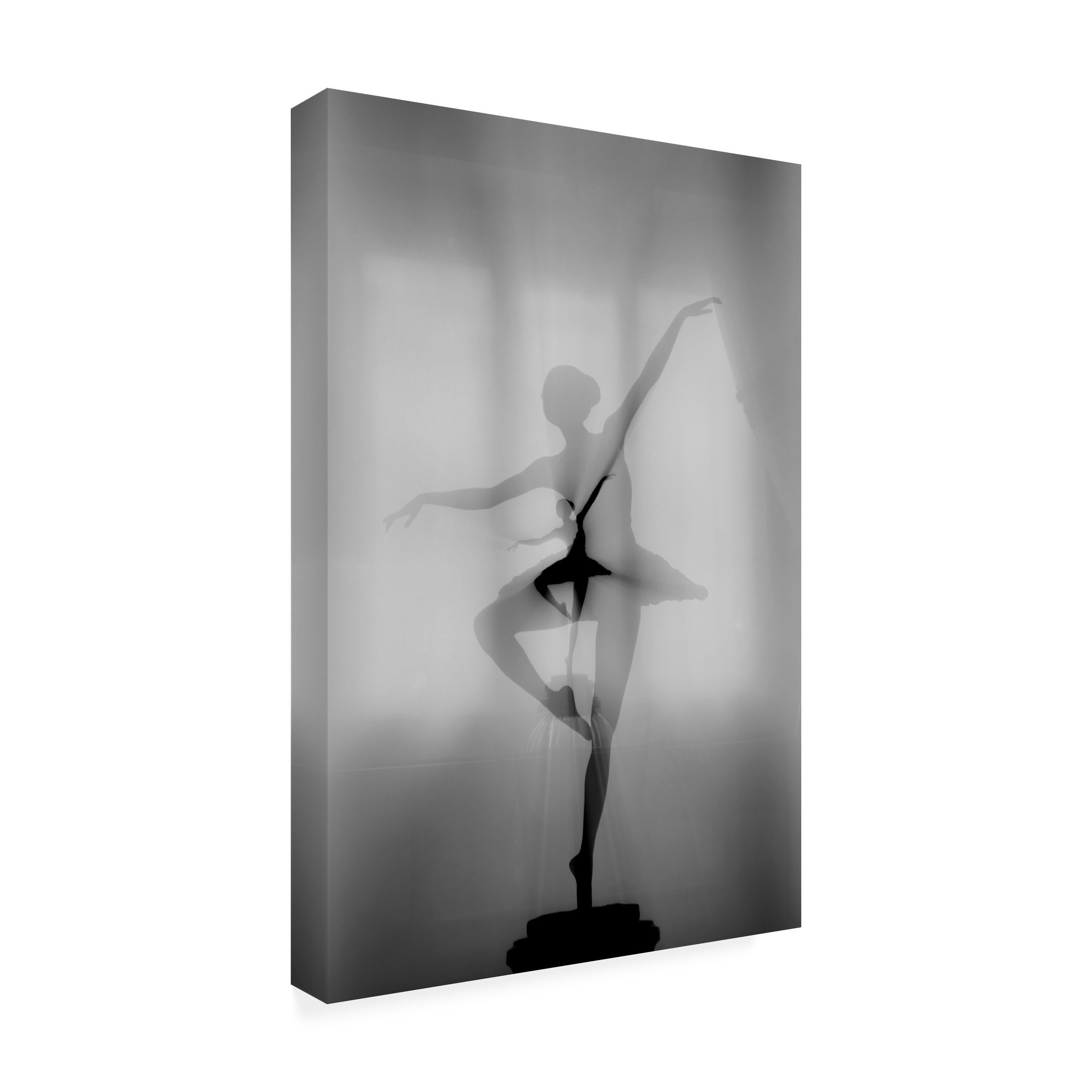 Trademark Fine Art My Favorite Dancer On Canvas by Pphgallery Print ...