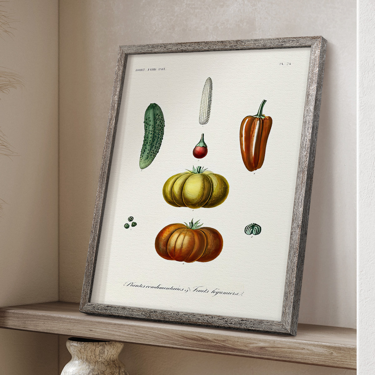 Winston Porter Fruit & Vegetable Varieties III Framed Print - Solid ...