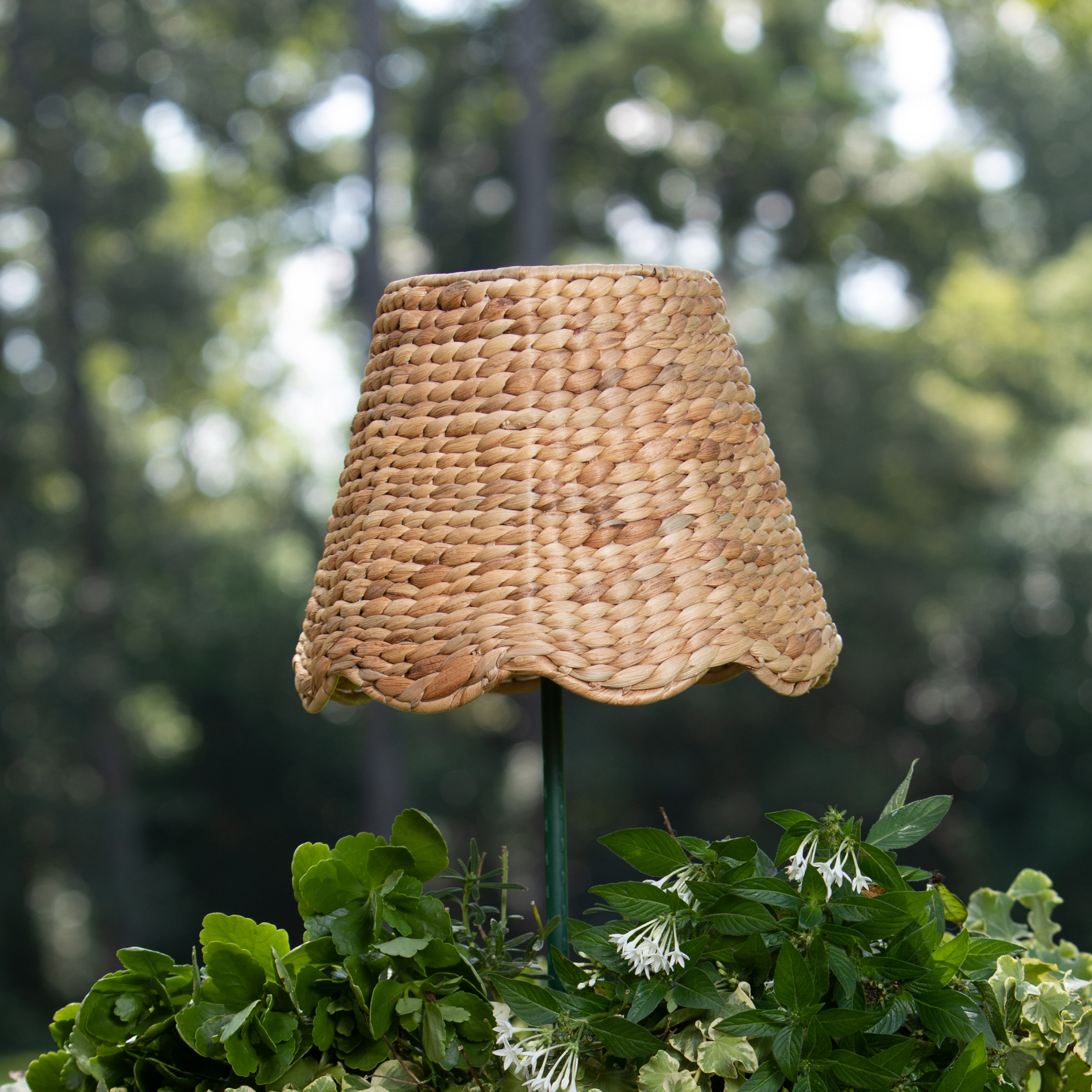 Maison Maison Design Water Hyacinth Empire Lamp Shade & Reviews | Wayfair