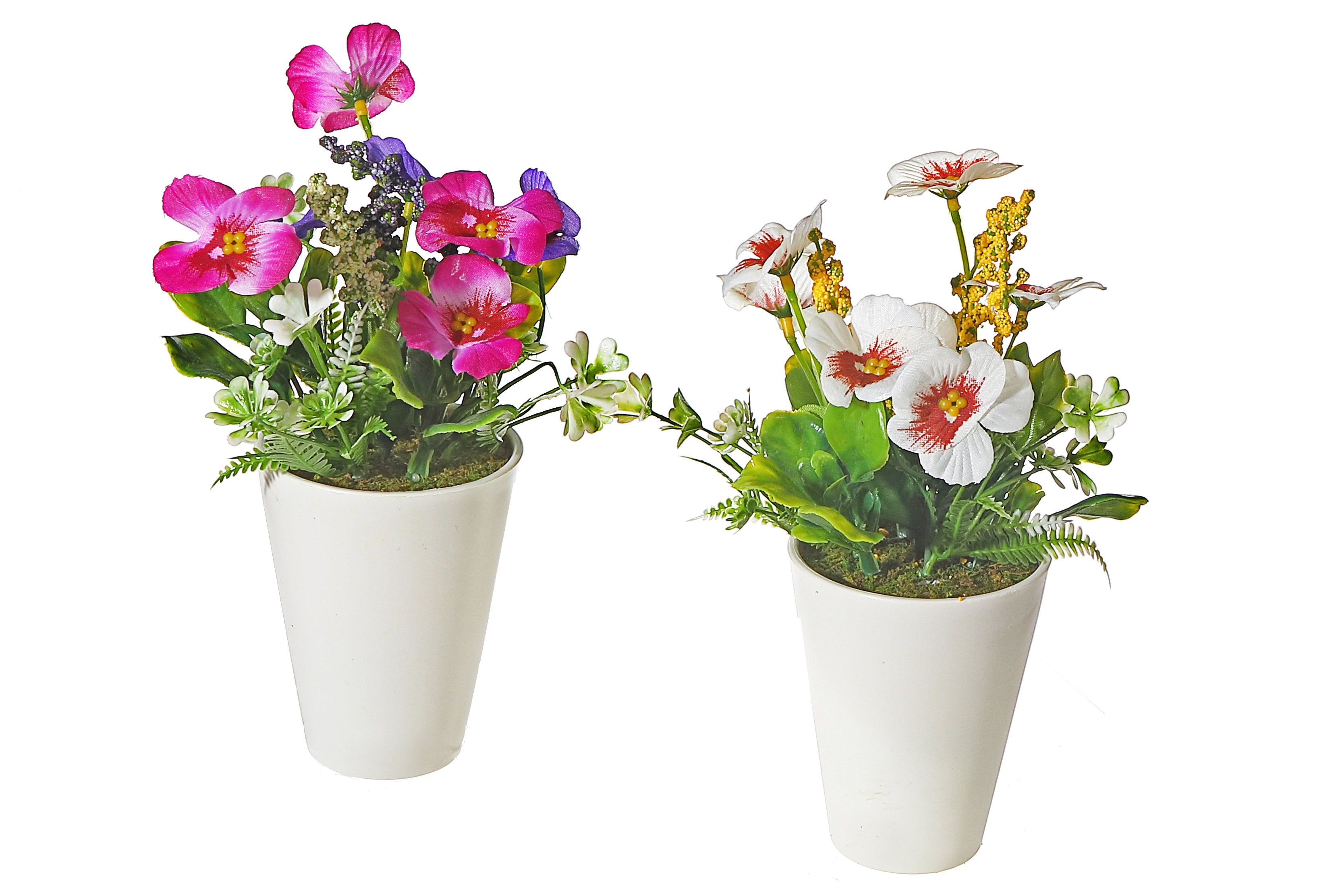 Primrue Pansy Centerpieces in Pot - Wayfair Canada