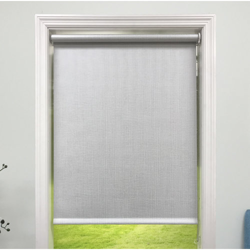 Ebern Designs Blackout Frost Decorative Roller Shade & Reviews | Wayfair