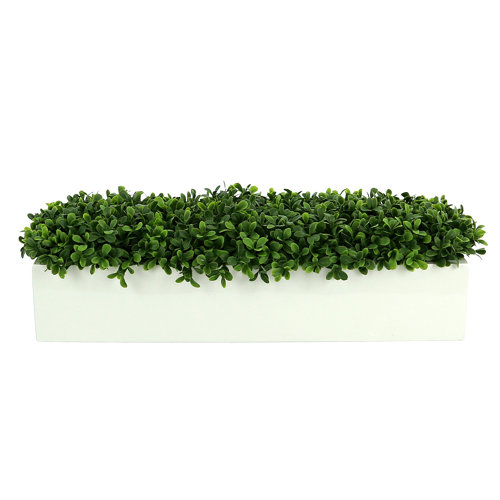 Creative Displays, Inc. UV Rated Indoor/Outdoor Faux Boxwood ...