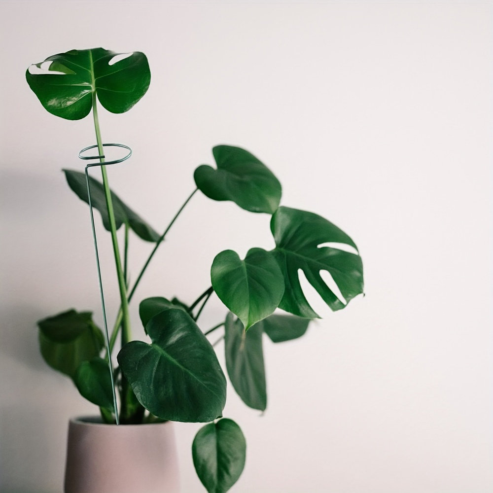 Norbi 12 Pack 17 inch Plant Support Stakes, 4mm Thick Garden Single ...