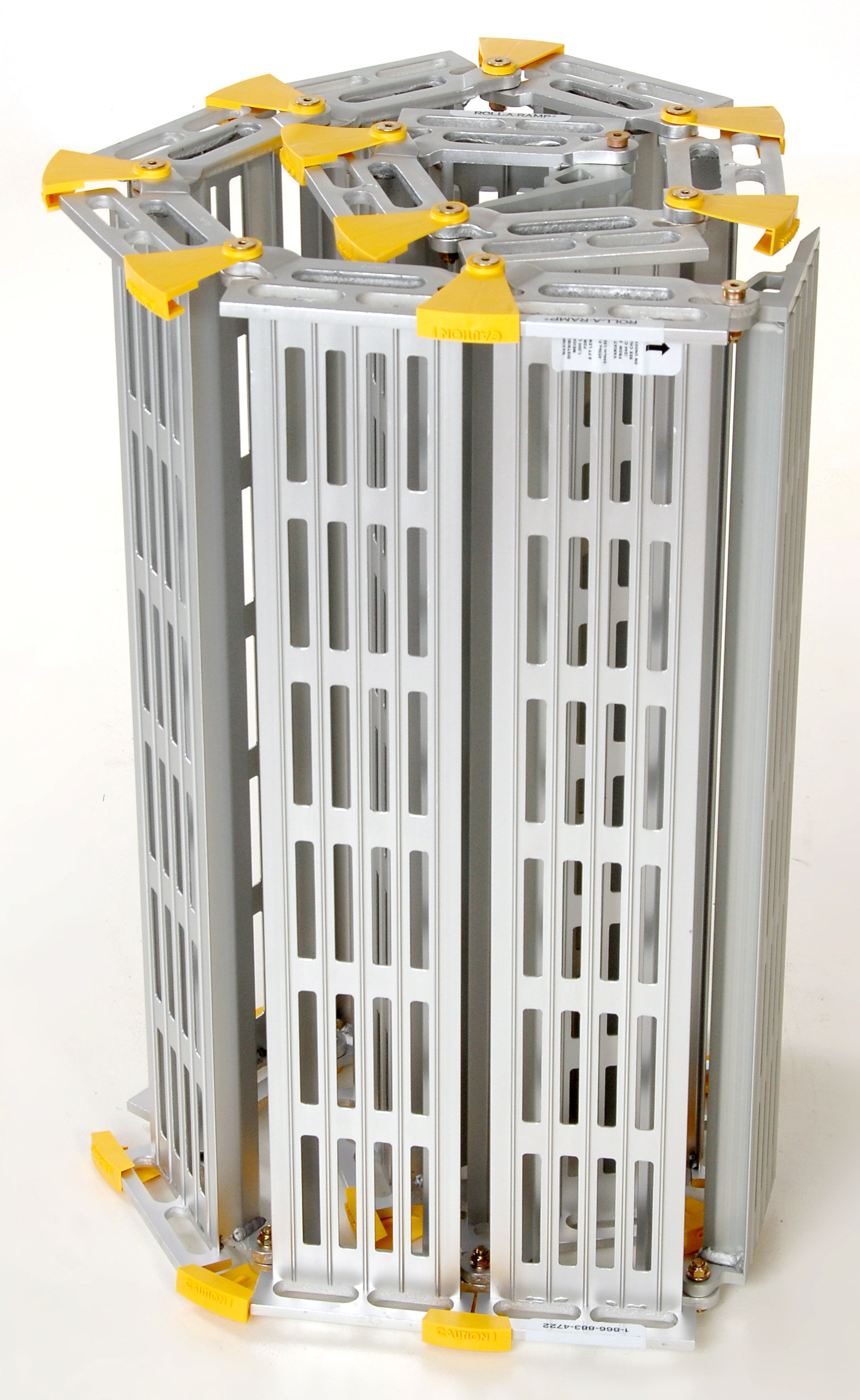 Roll-A-Ramp Portable Ramp & Reviews - Wayfair Canada