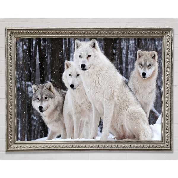 Union Rustic Silver Wolf Pack - Single Picture Frame Print | Wayfair.co.uk