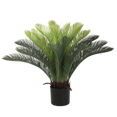 pool deck artificial plants