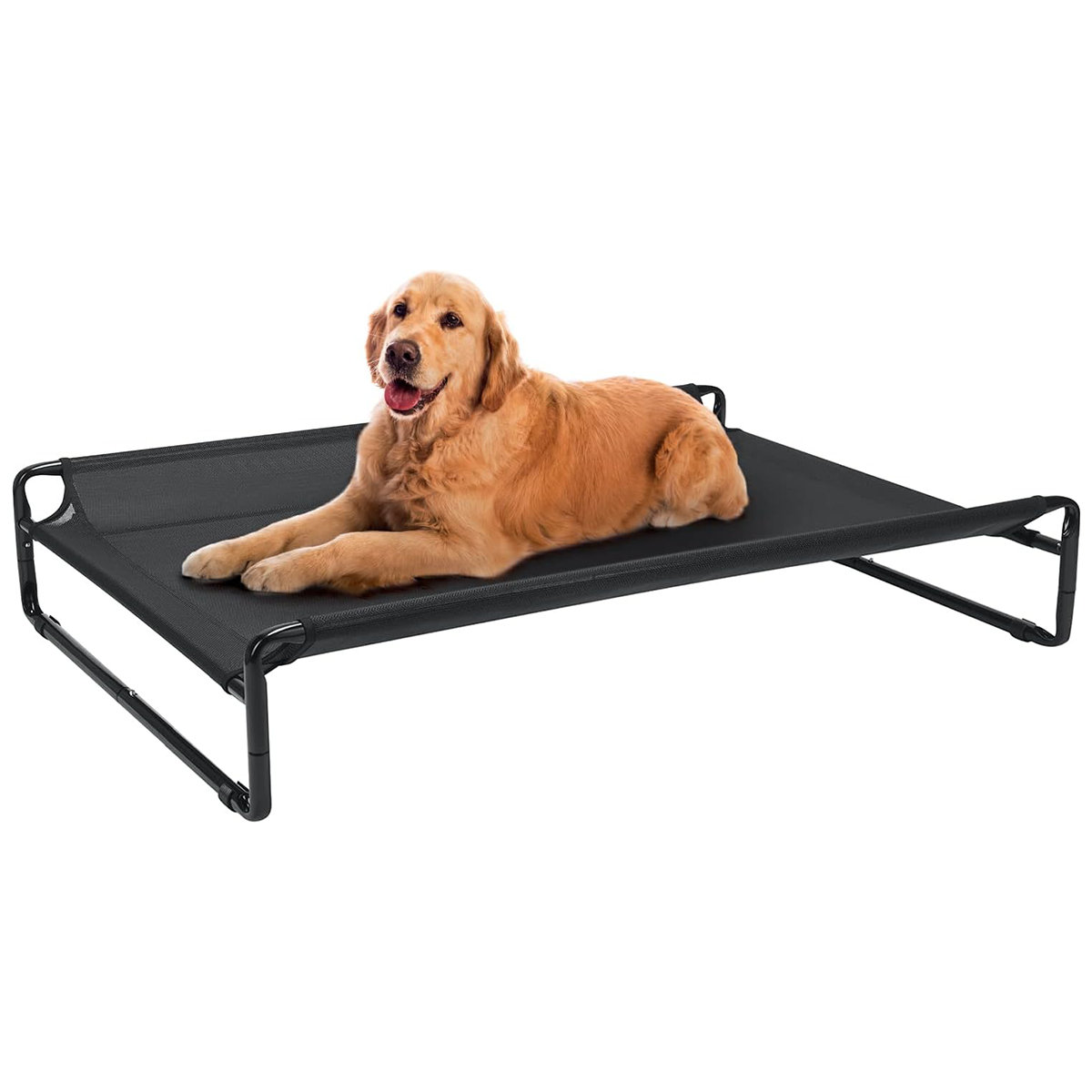 Tucker Murphy Pet™ Outdoor Raised Cots Bed For Large Dogs | Wayfair