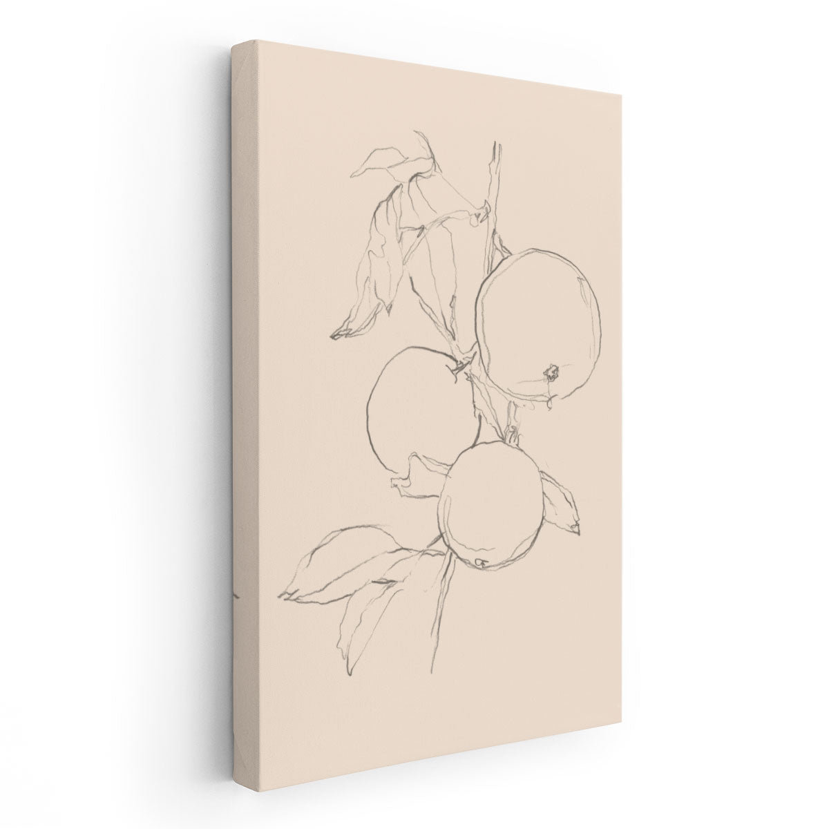 Rosalind Wheeler Fruit Contour Study I - Canvas Print Wall Art | Wayfair