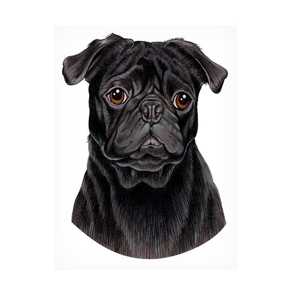 Winston Porter Pug Black by Tomoyo Pitcher | Wayfair