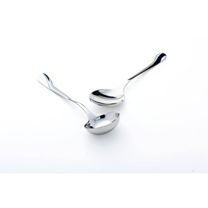 Nicole Miller 2-Piece Stainless Steel Serving Spoon Set & Reviews | Wayfair