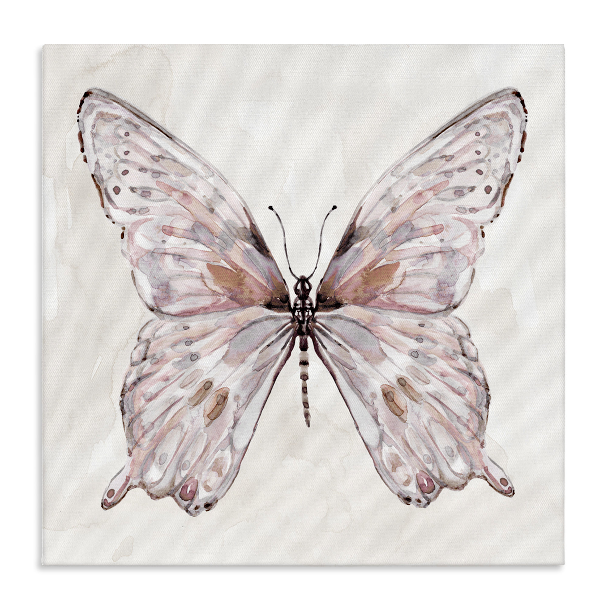 Ophelia & Co. Faded Blush Butterfly Canvas, design by Carol Robinson ...