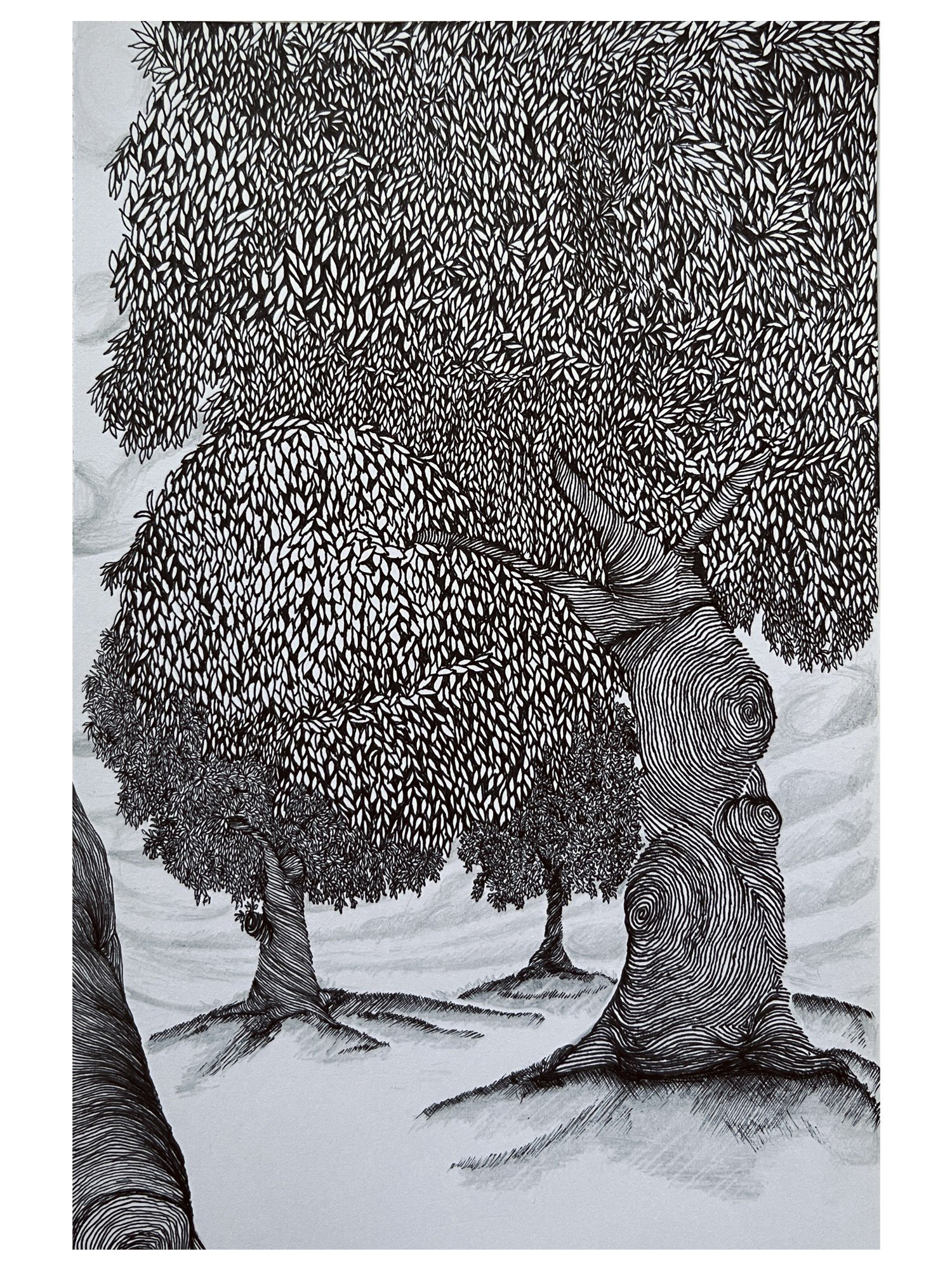 Exotic India The Dense Tree - Woods | Ink Art On Paper | Painting By ...
