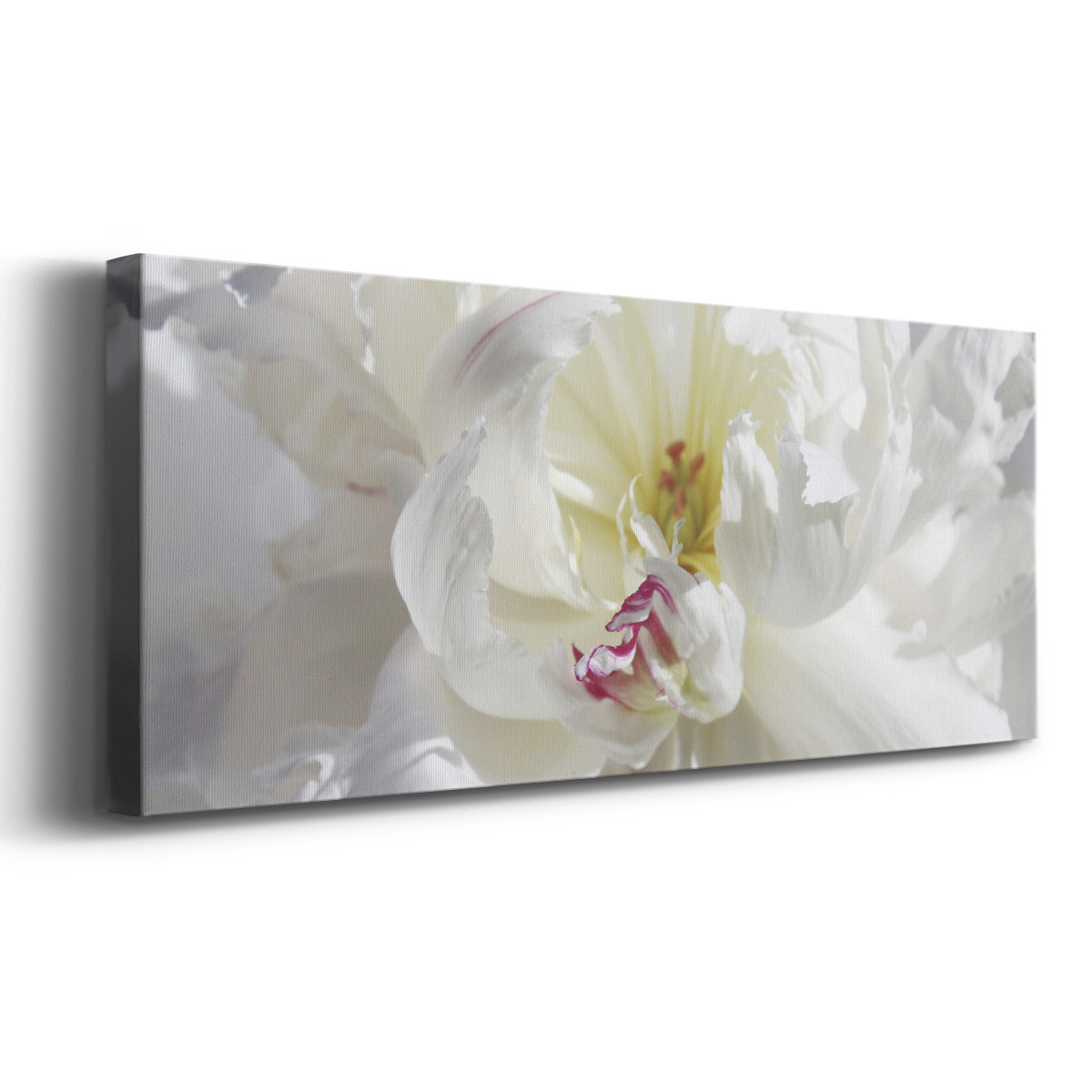 Latitude Run® Breathless V On Canvas Print | Wayfair