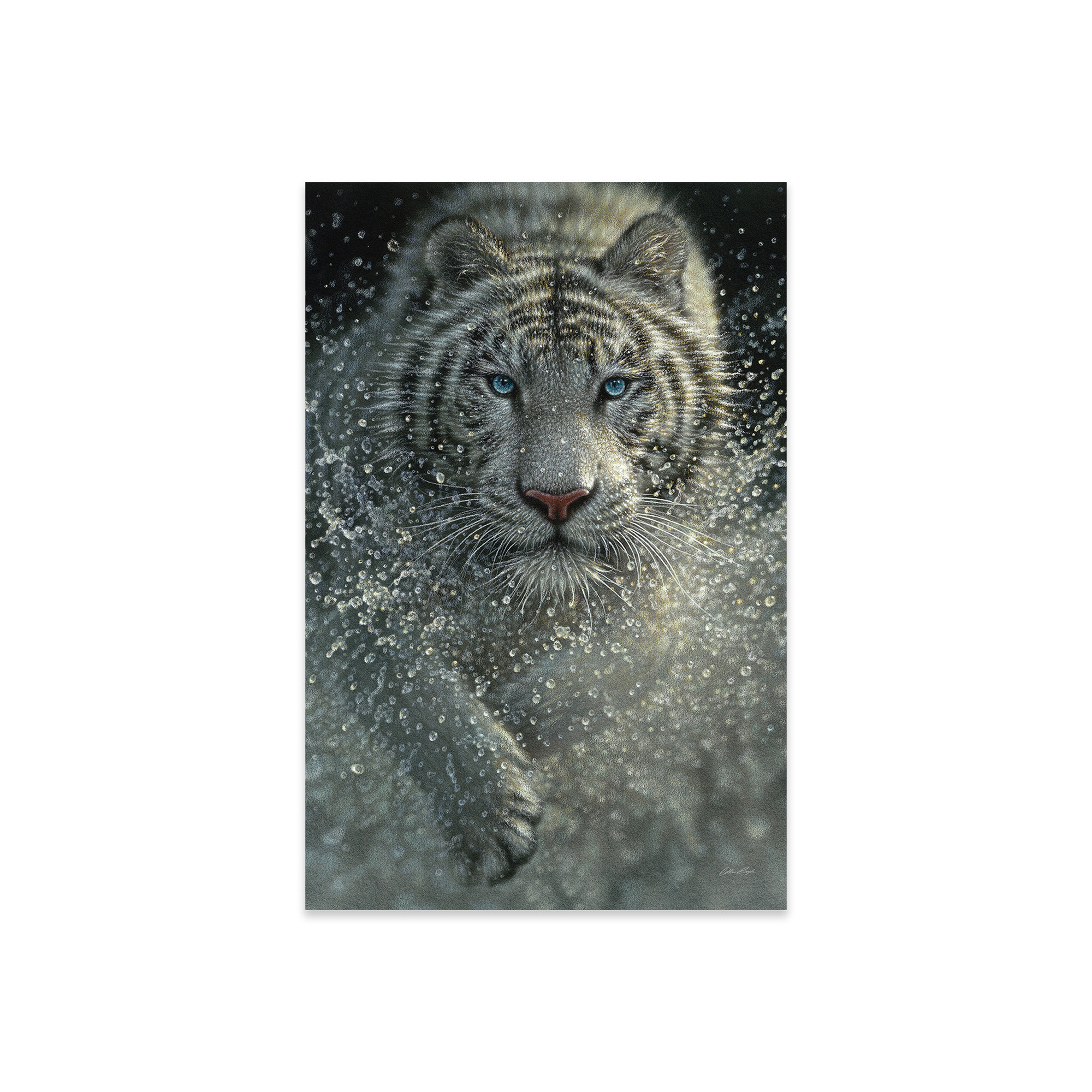 Bungalow Rose White Tiger - Wet and Wild Print On Acrylic Glass ...