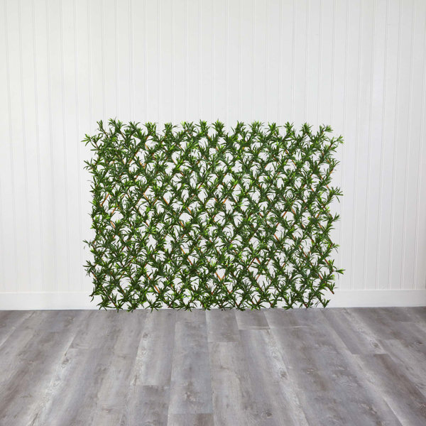 Primrue Expandable Podocarpus Fence UV Resistant & Waterproof | Wayfair