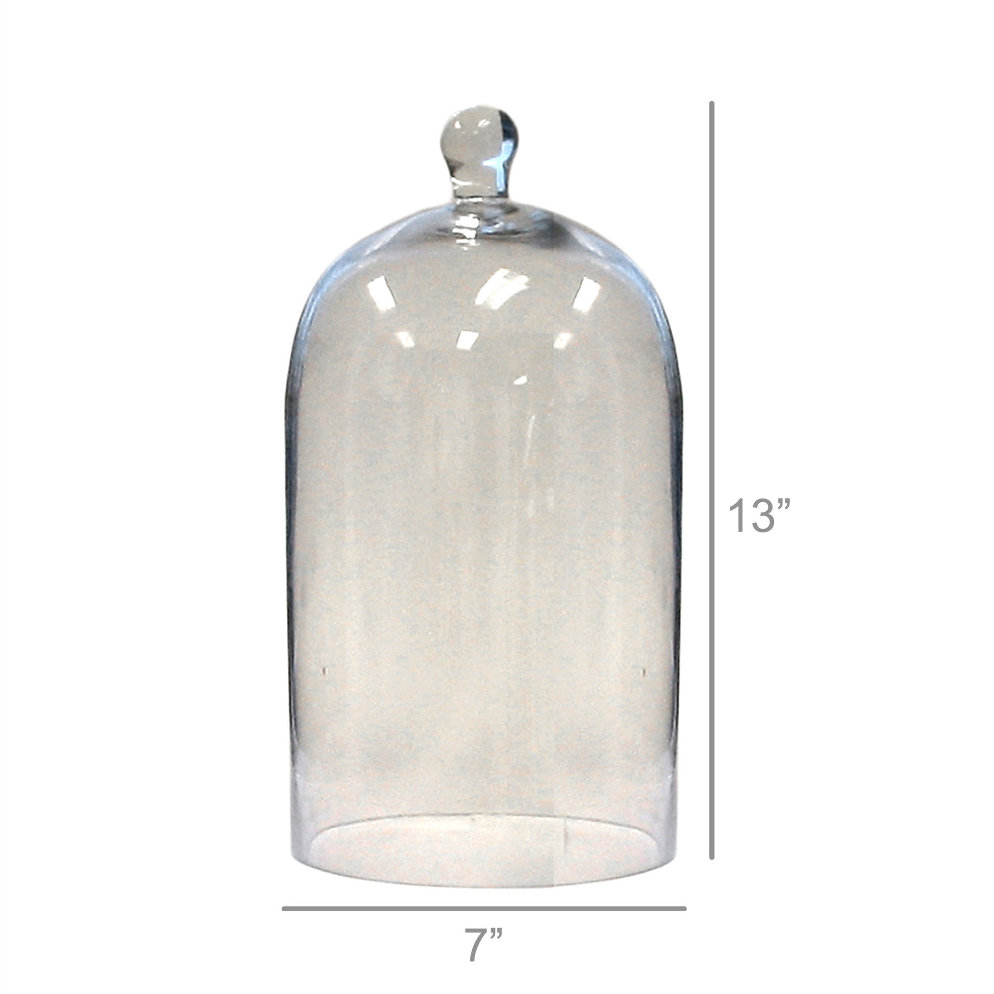 Lark Manor™ Baines Glass Dome & Reviews | Wayfair