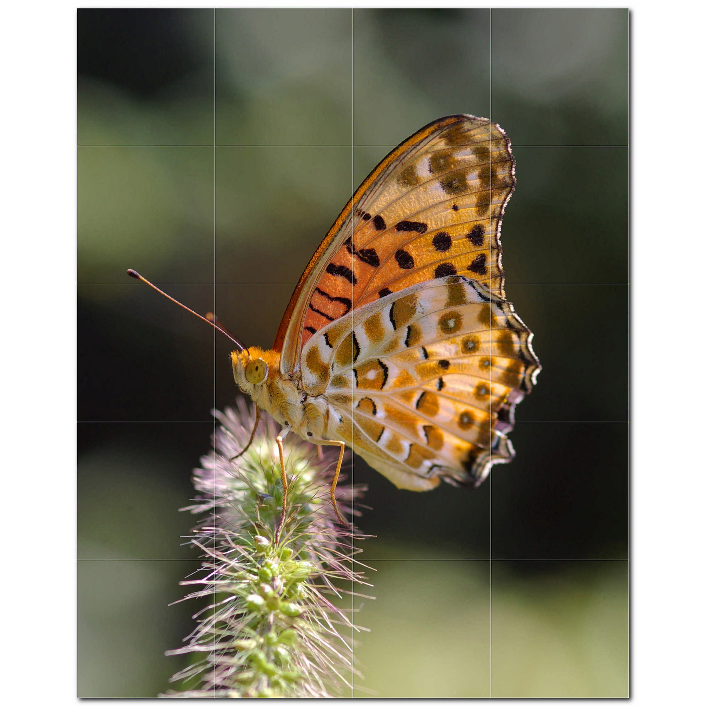 Picture-Tiles.com 12'' x 12'' Satin Ceramic Decorative Mural | Wayfair