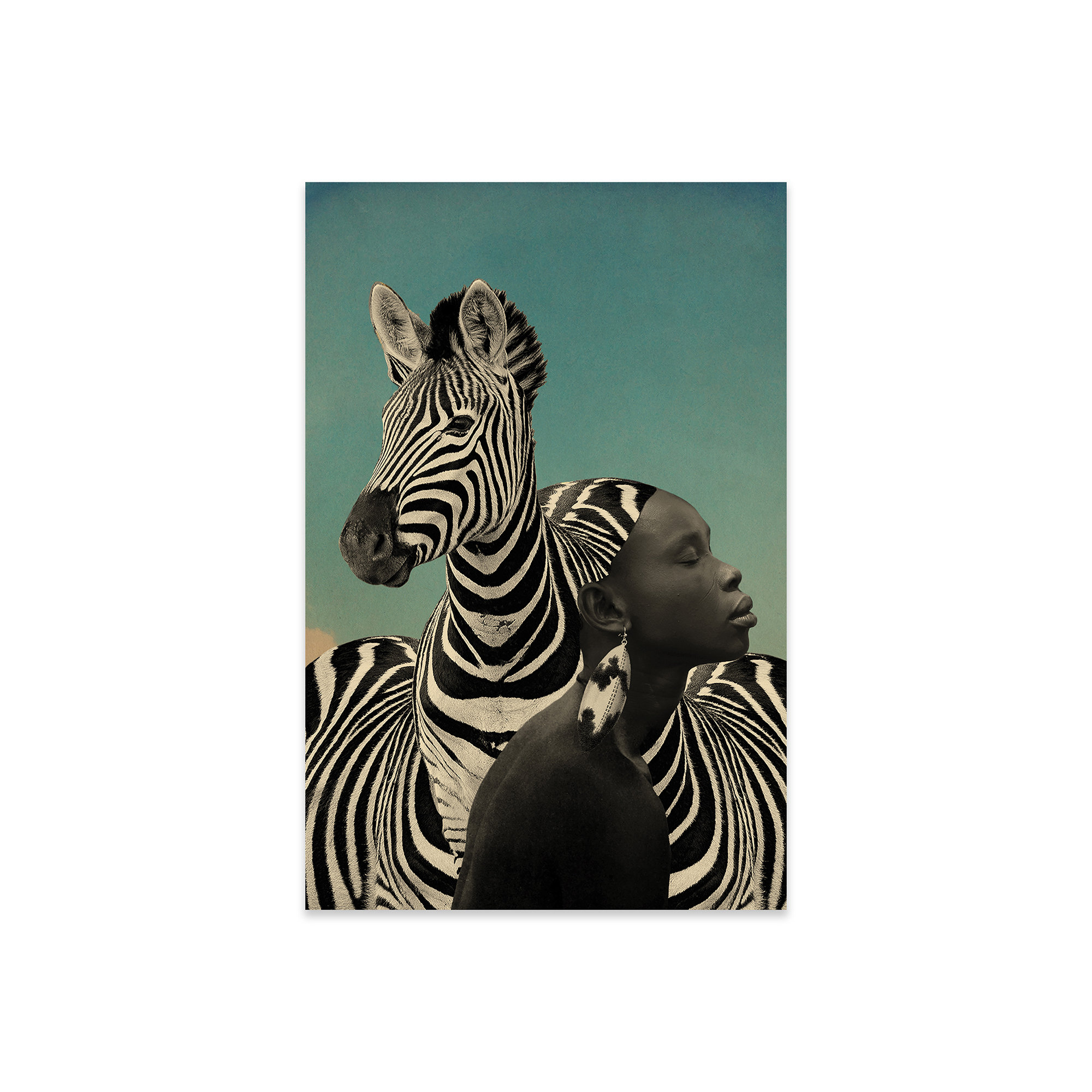 Ebern Designs Zebra Print On Acrylic Glass - Wayfair Canada