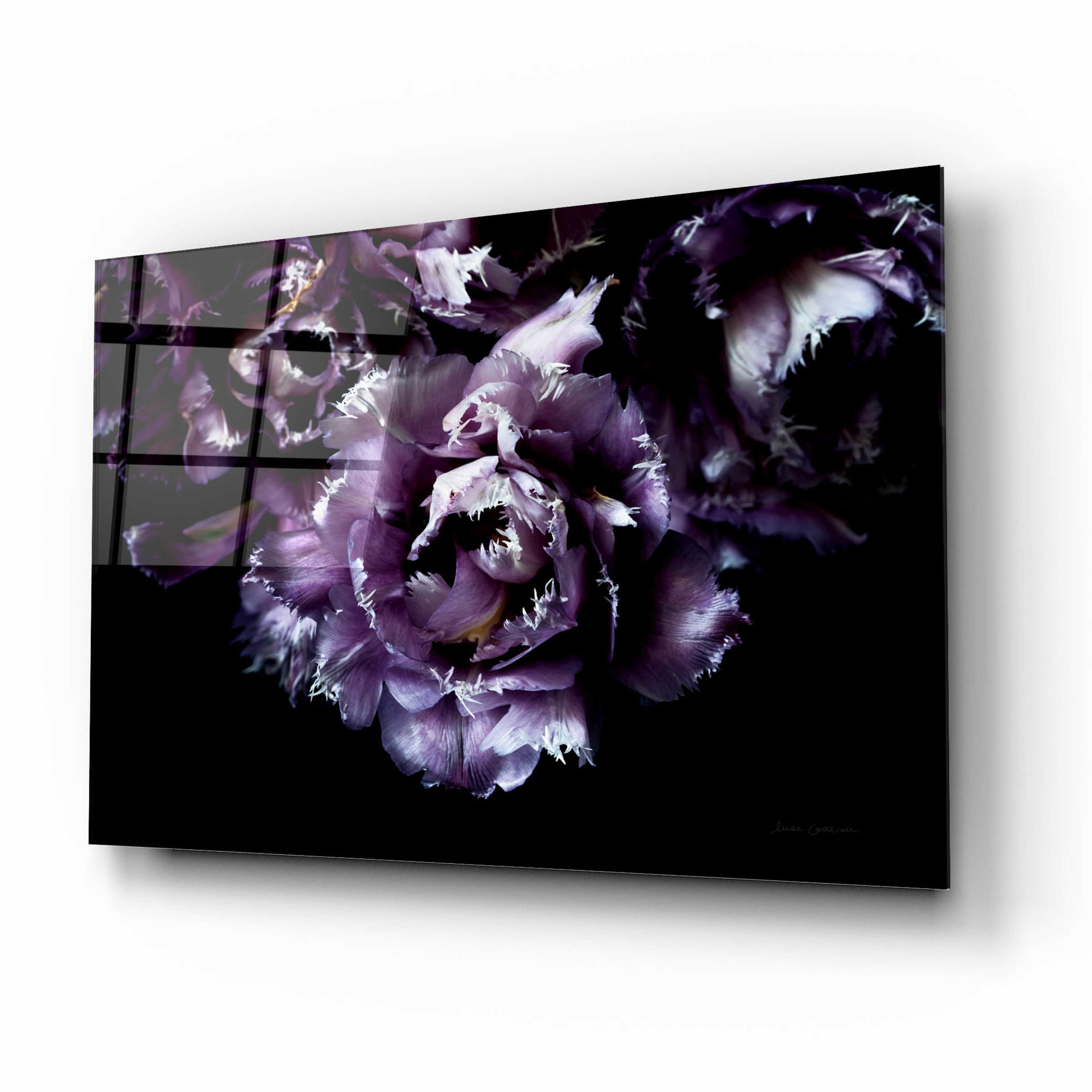 Red Barrel Studio® Purple Fringed Tulips II' By Elise Catterall ...