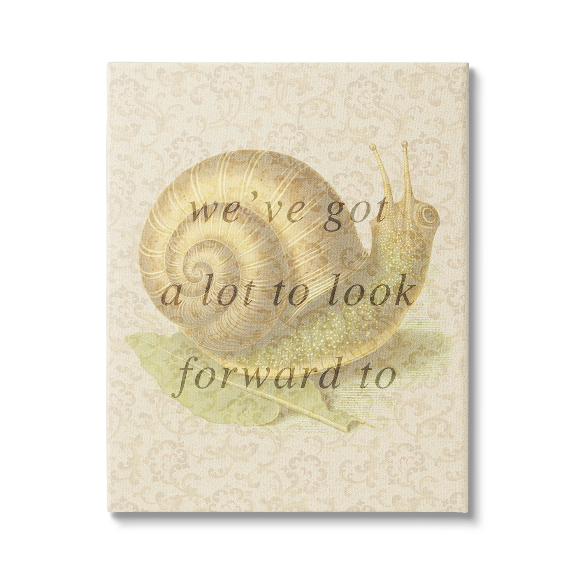 Highland Dunes Vintage Uplifting Snail Canvas Wall Art by Lil' Rue ...