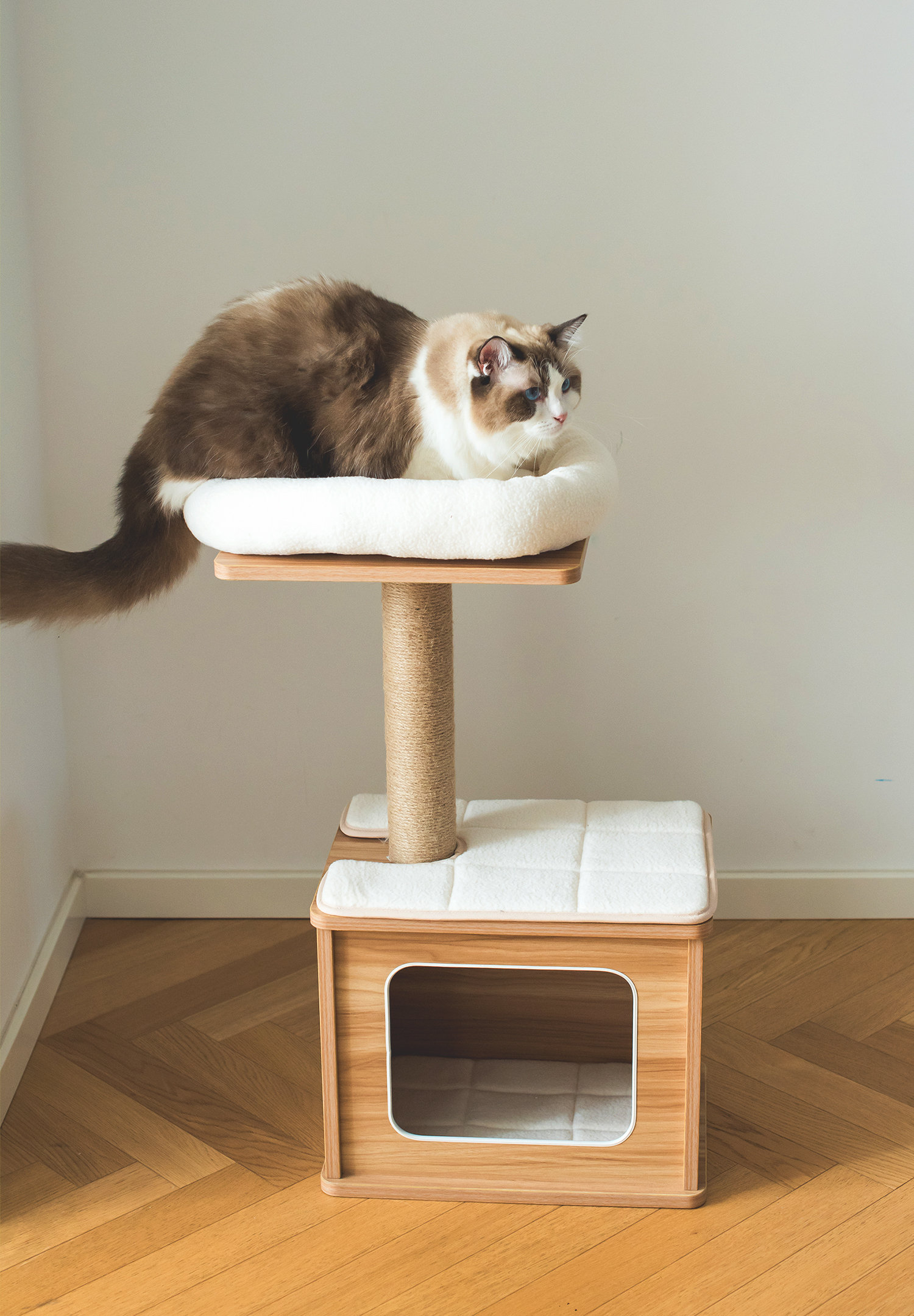 Catry 30" Cat Tree with House & Reviews | Wayfair
