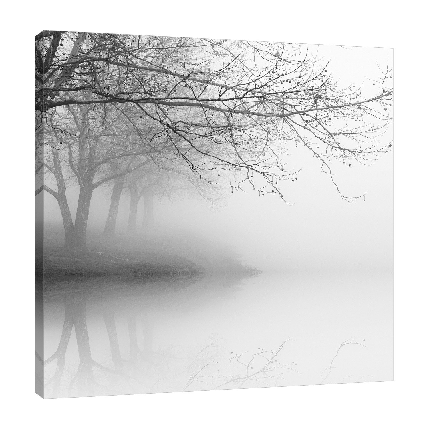 Jaxson Rea Winter Tree Reflections by Nicholas Bell - Wrapped Canvas ...