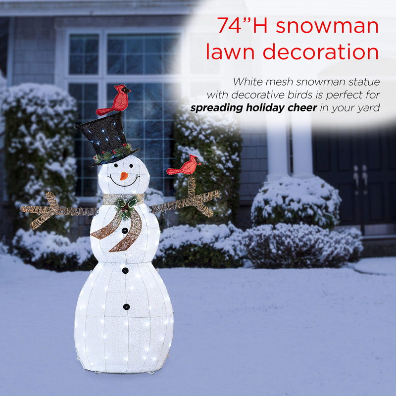 The Holiday Aisle® Snowman Lighted Display & Reviews | Wayfair