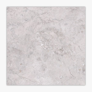 Direct Stone Source 24" x 24" Marble Stone Look Wall & Floor Tile | Wayfair