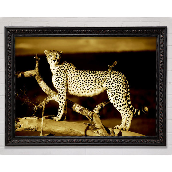 Bright Star Leopard Perch Sepia - Single Picture Frame Art Prints ...