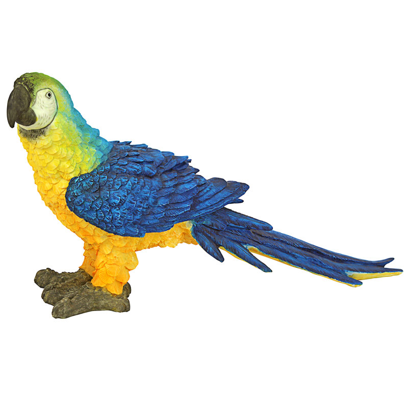 Design Toscano Mortimer the Macaw Tropical Parrot Statue & Reviews ...