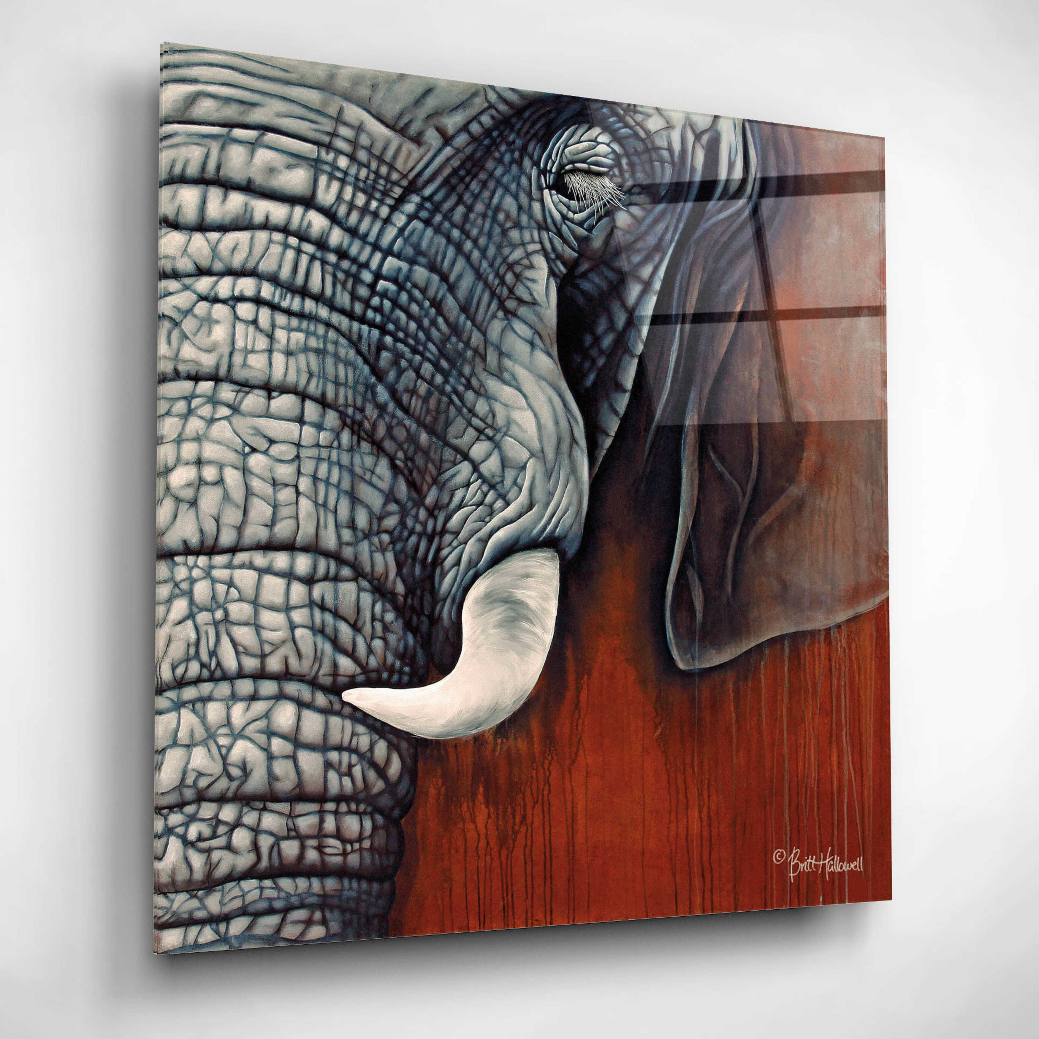 Dakota Fields ''Revering Tembo'' By Britt Hallowell, Acrylic Glass Wall ...