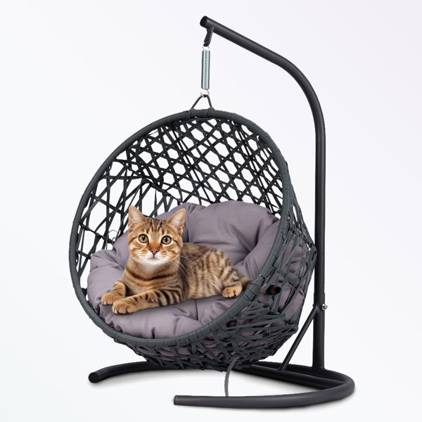 Wicker Cat Beds You'll Love | Wayfair