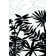 Rosalind Wheeler Rainforest Ferns II by Jarman Fagalde - Wrapped Canvas ...