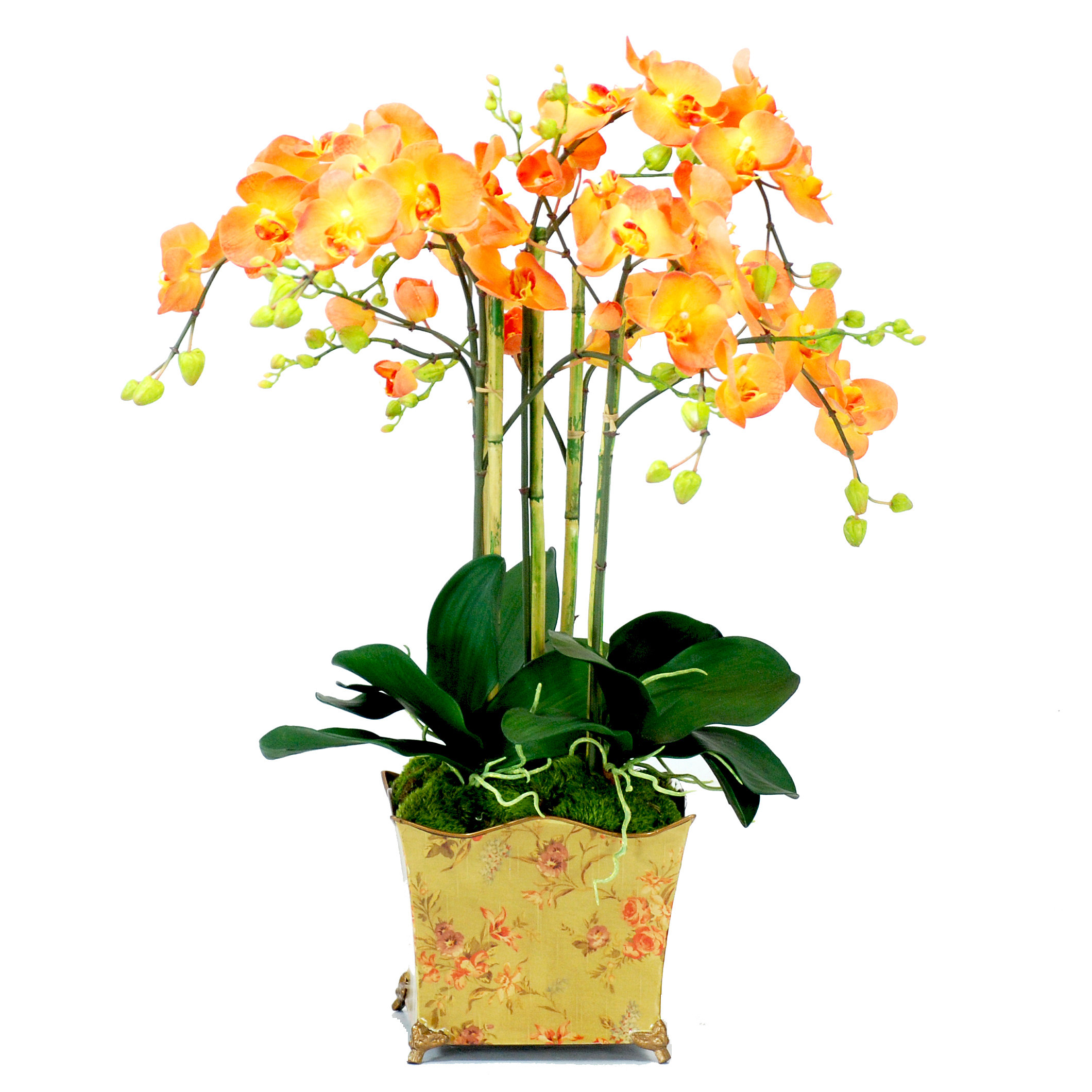 Winward Silks Orchid Arrangement | Wayfair
