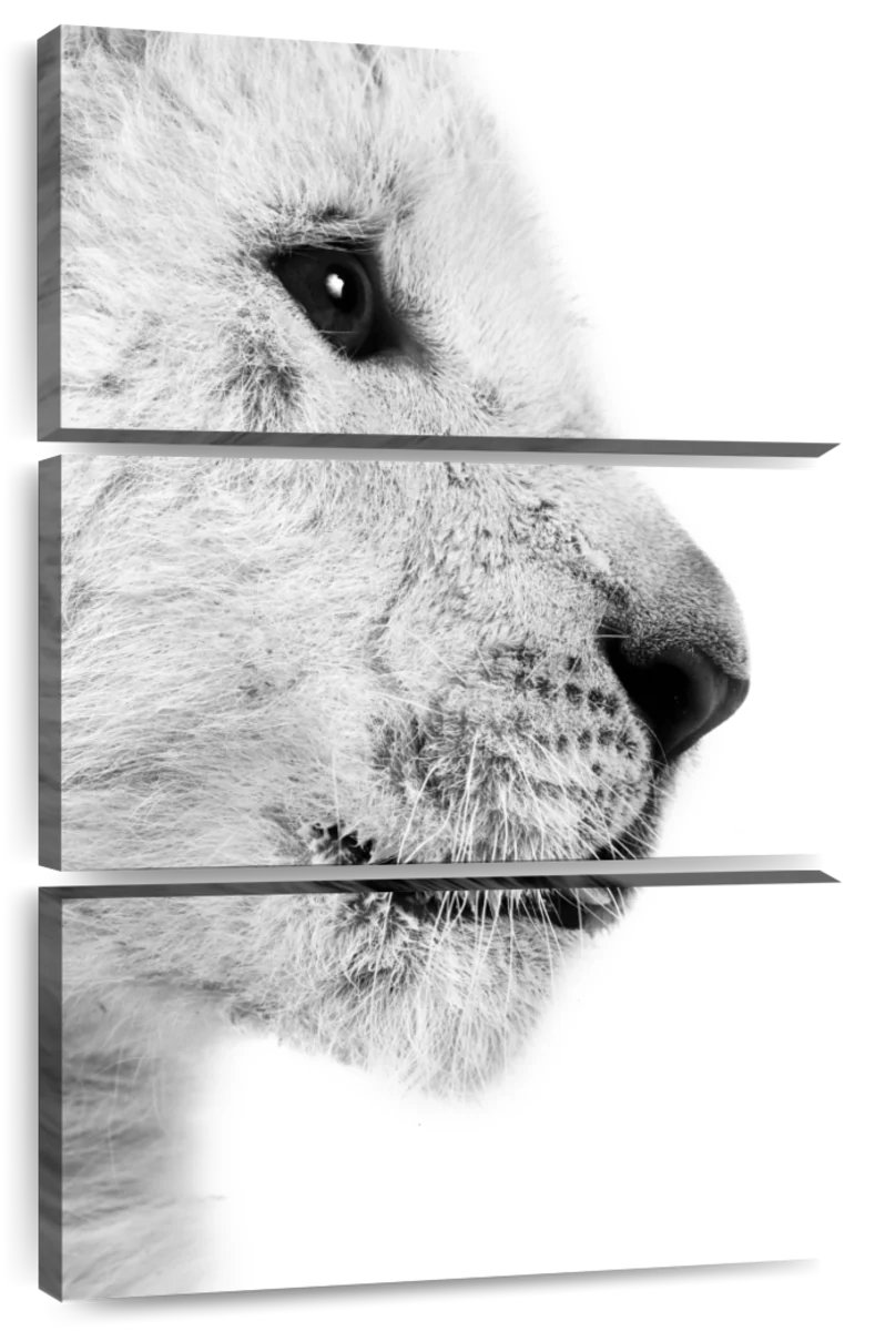 Ebern Designs Brampt Lion Cub Profile | Wayfair