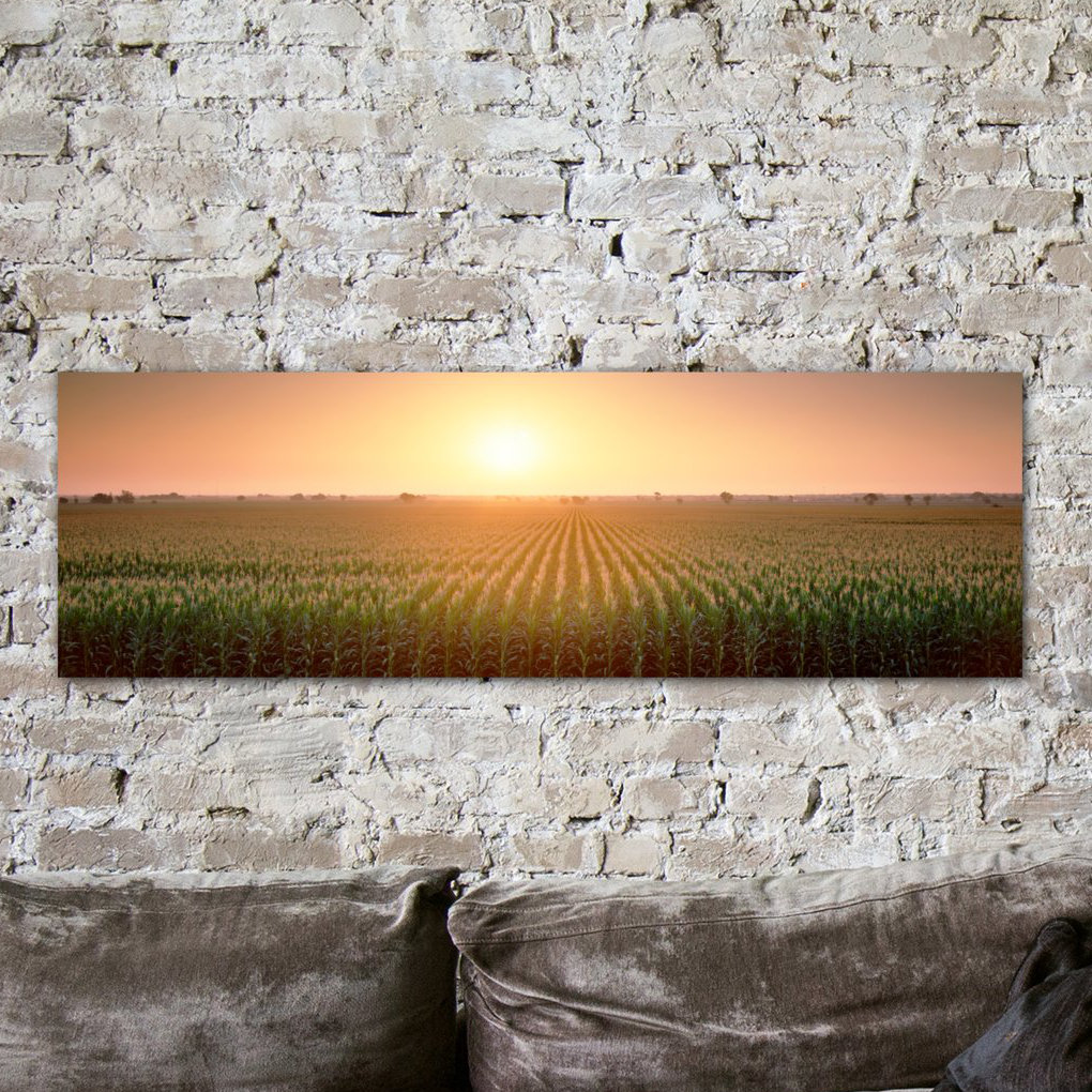 Ebern Designs Panoramic View of the Corn Field During Sunrise ...