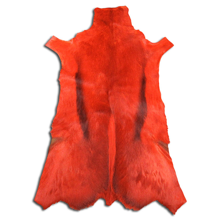 Loon Peak® Burnt Orange Dyed Springbok Skin | Wayfair