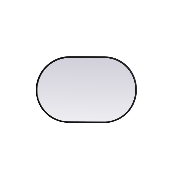 RE/FINE™ Sabine Metal Pill Wall Mirror & Reviews | Wayfair