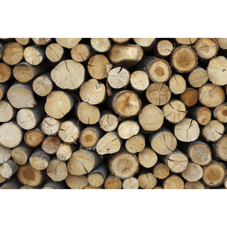 Alpen Home Sawed Tree Trunks by Artur - Wrapped Canvas Photograph ...