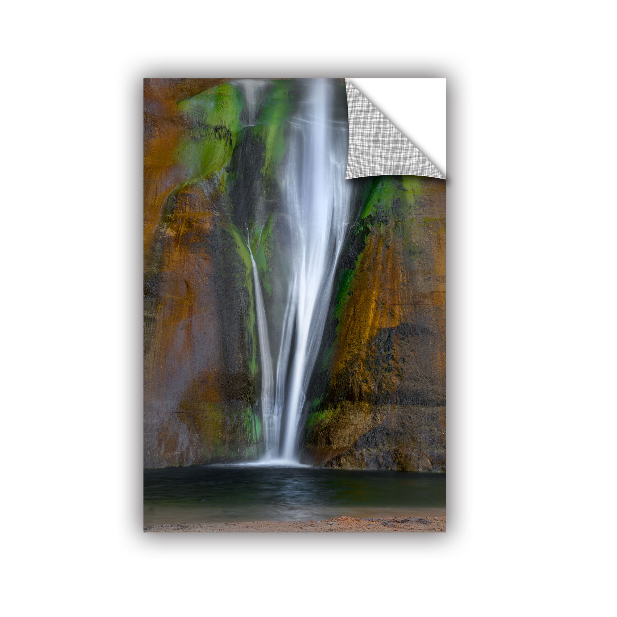 Millwood Pines Mike Beach Arizona 21 Removable Wall Decal - Wayfair Canada