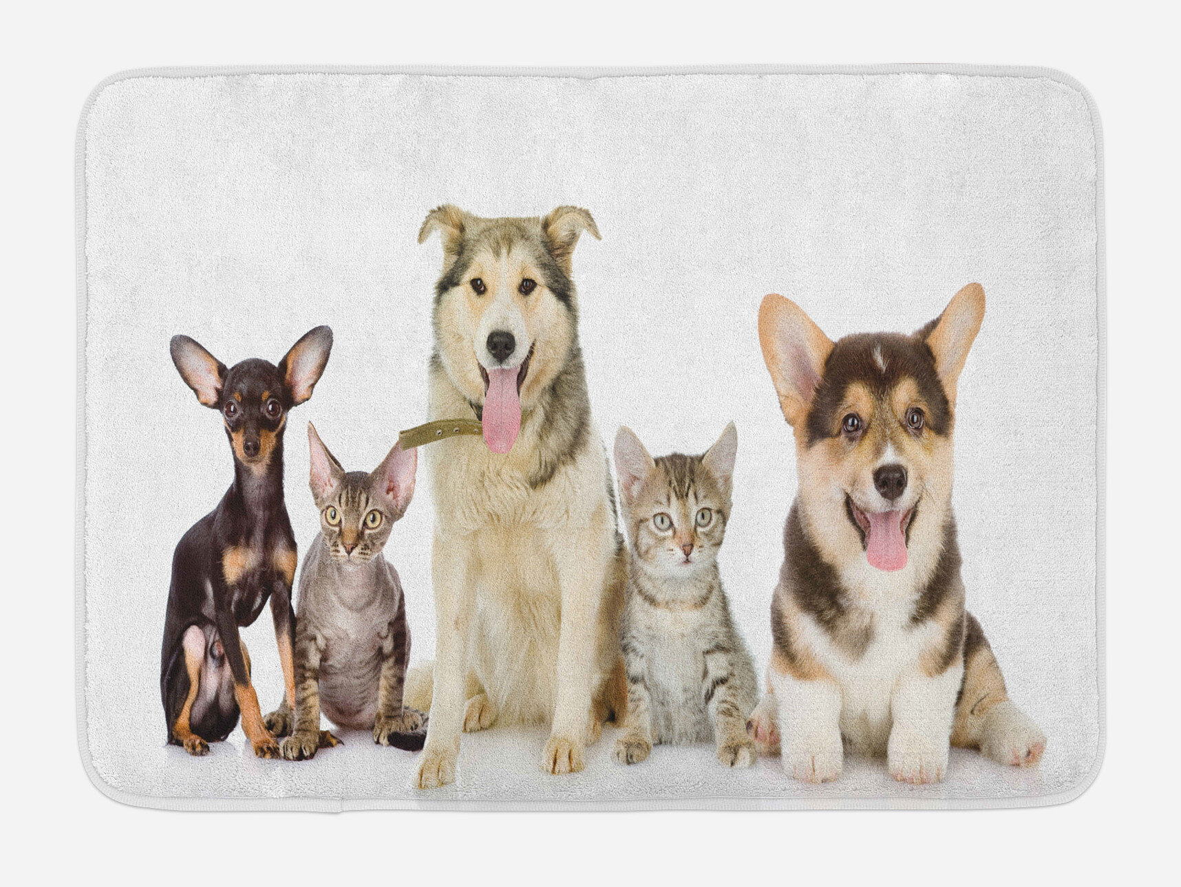 East Urban Home Magaw Bath Mat | Wayfair