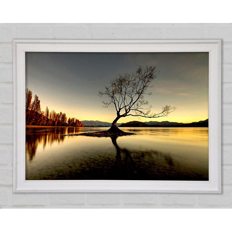 Bright Star Lonely Lake Tree - Single Picture Frame Art Prints ...