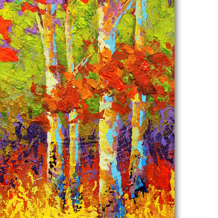 Trademark Art Marion Rose Evening Glow On Canvas by Marion Rose ...